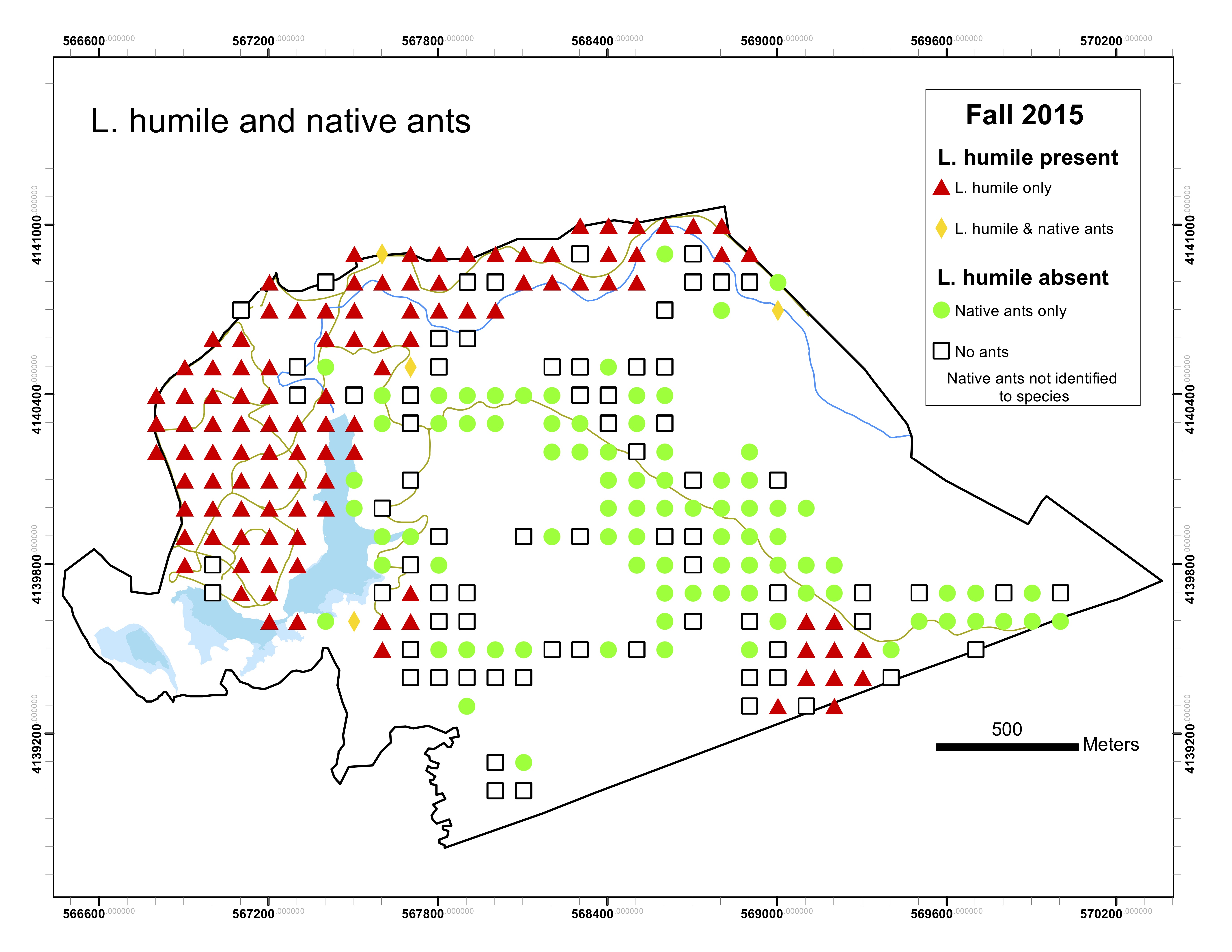 Climate Change and Ant-Butterfly Mutualisms – GILLIAN LUI